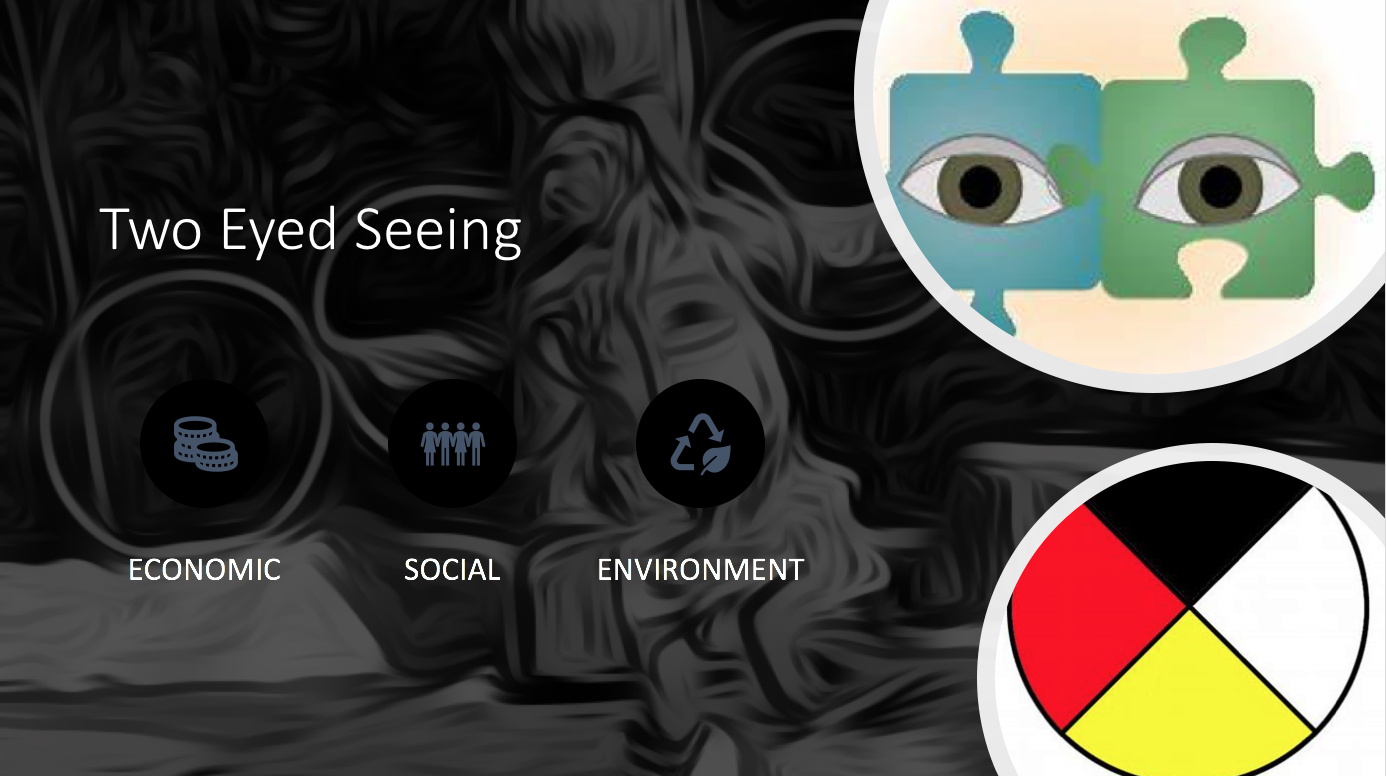 Two-Eyed Seeing – Sustainability in Action – ENVS 401